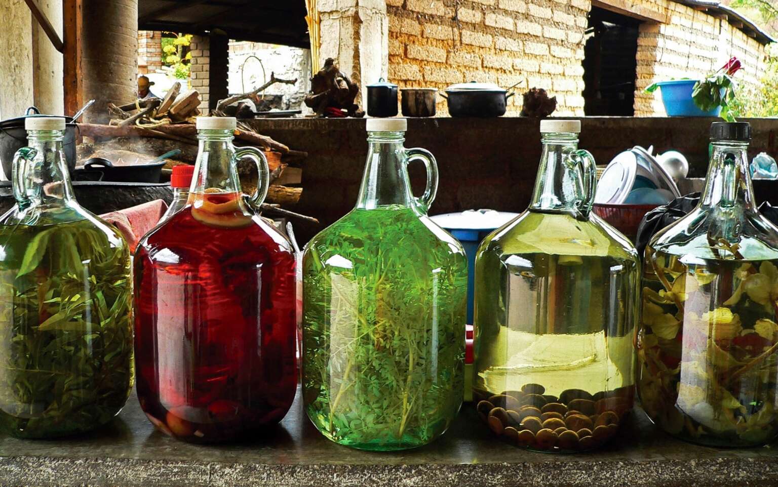 5 usos medicinales que se le da al mezcal y seguro no conocías « El ...